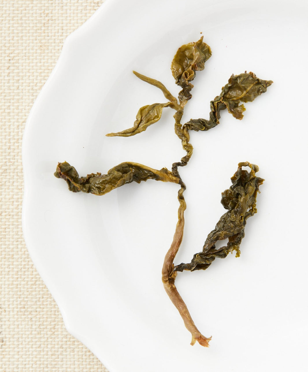 Shop Oolong Tea – Té Company