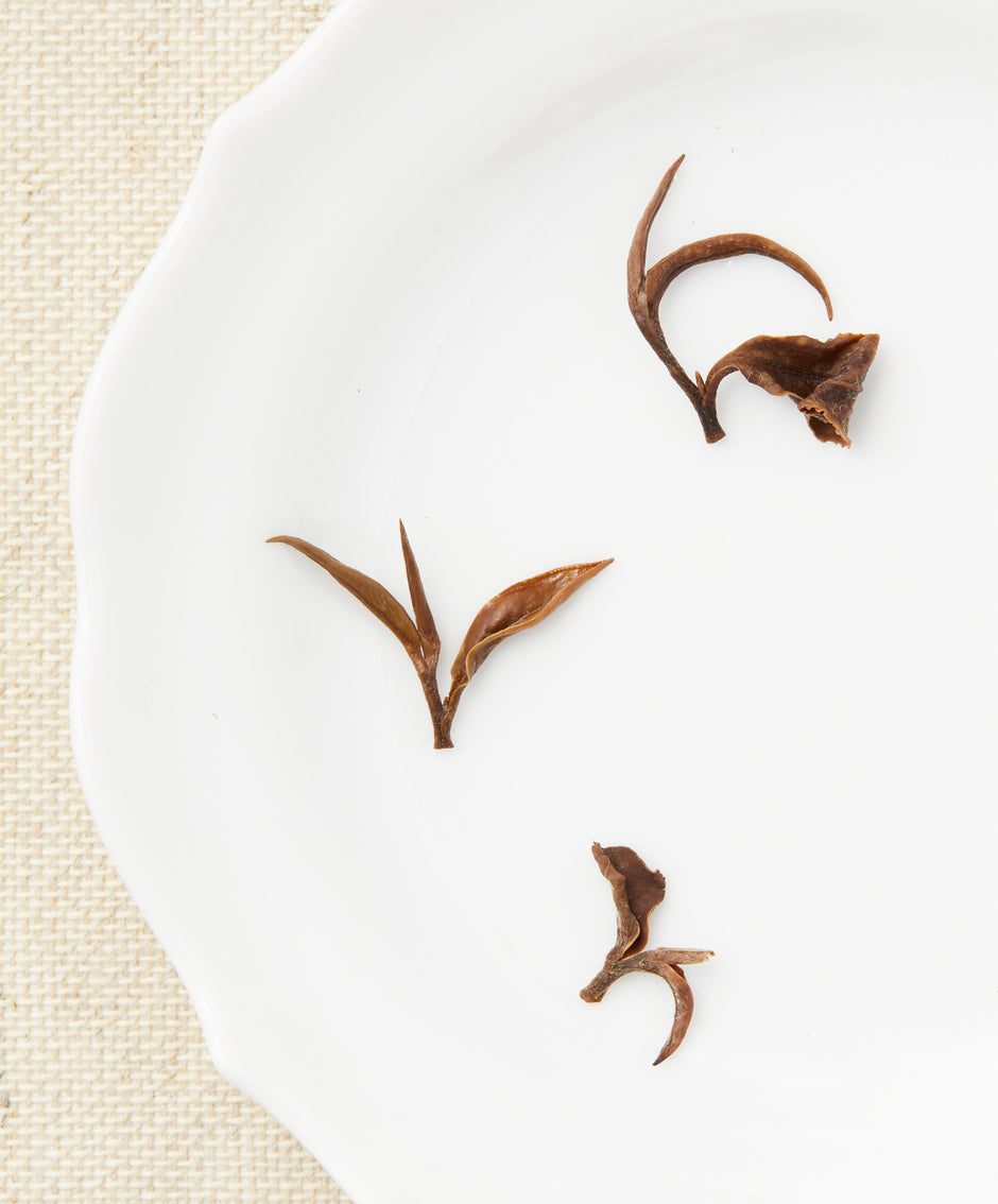 Shop Oolong Tea – Té Company