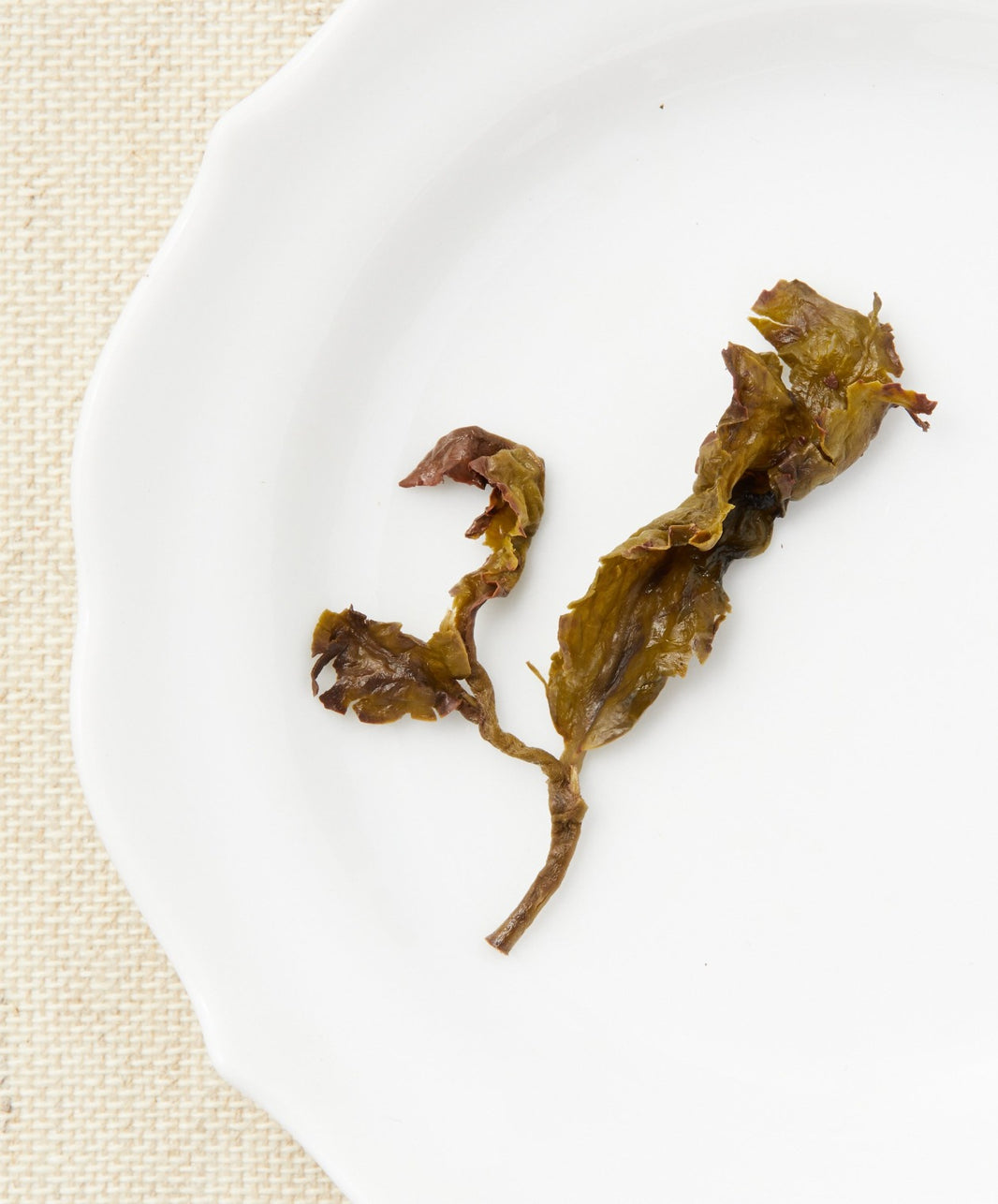 Shop Oolong Tea – Té Company